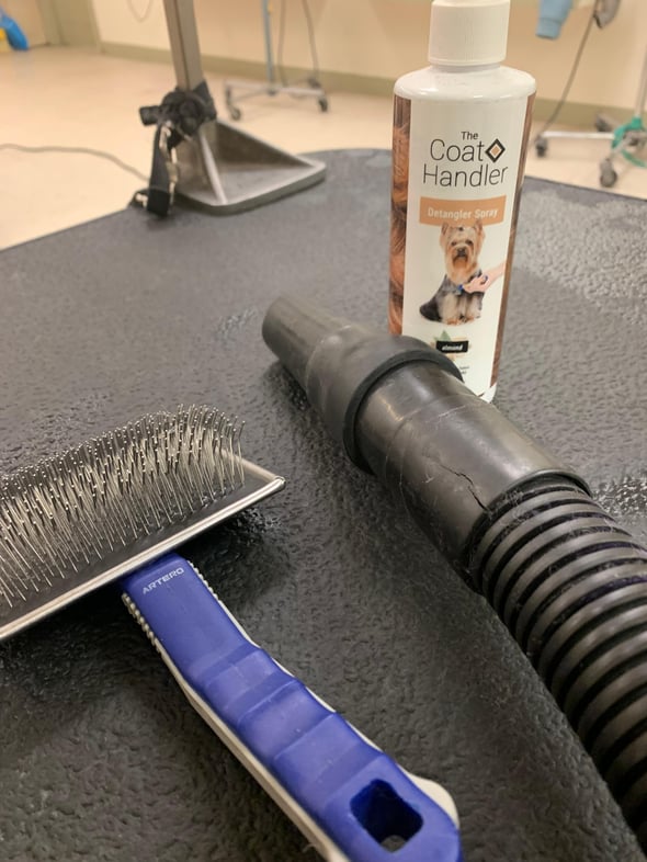 Sue Zecco's Guide to Dematting - GroomersChoice.com